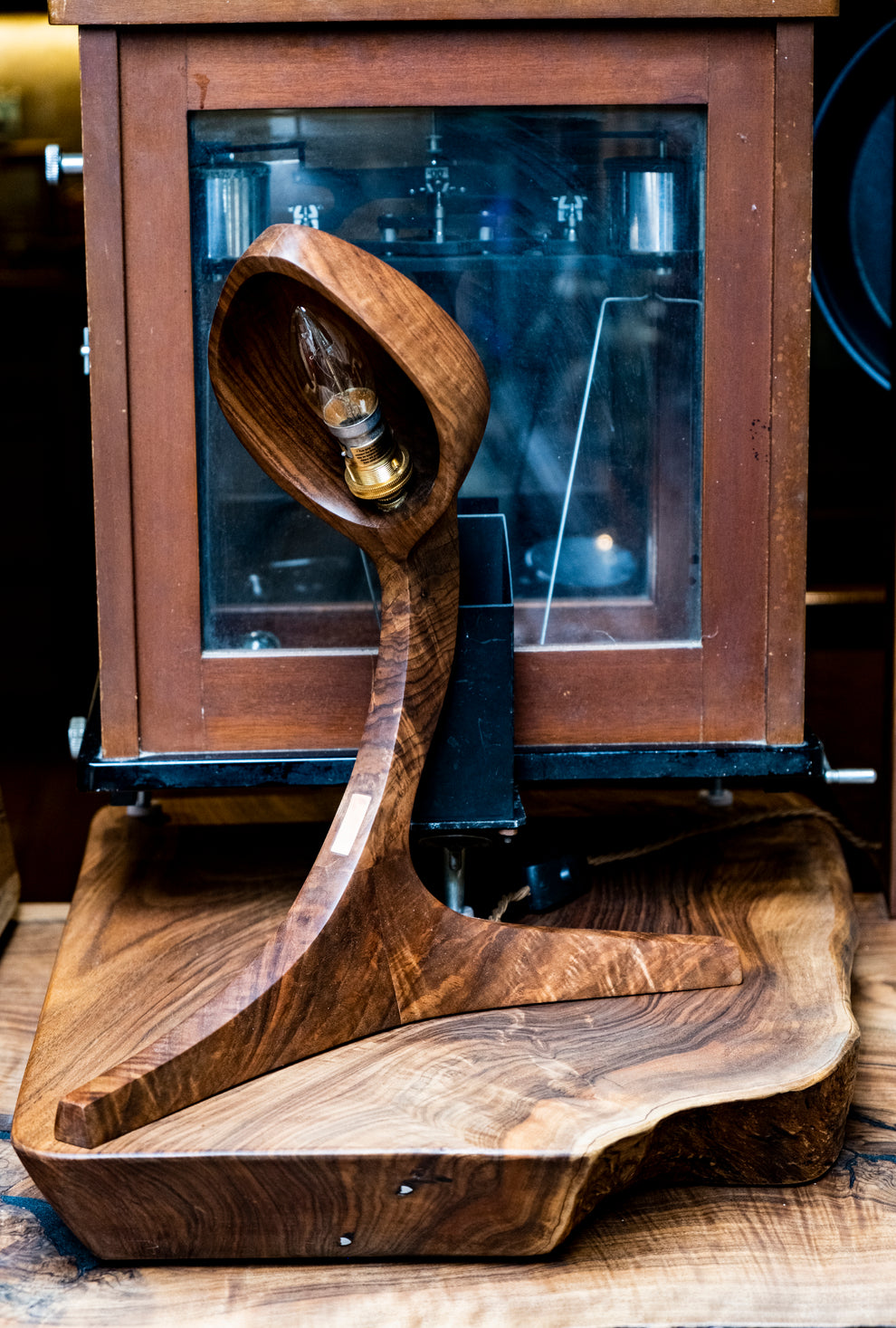 Live Edge Lamps "The Cobra" – Live Edge Creations